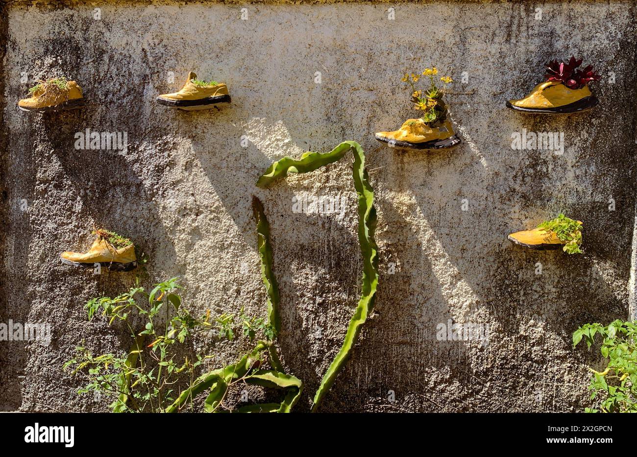 Flower pot shoe hi-res stock photography and images - Alamy