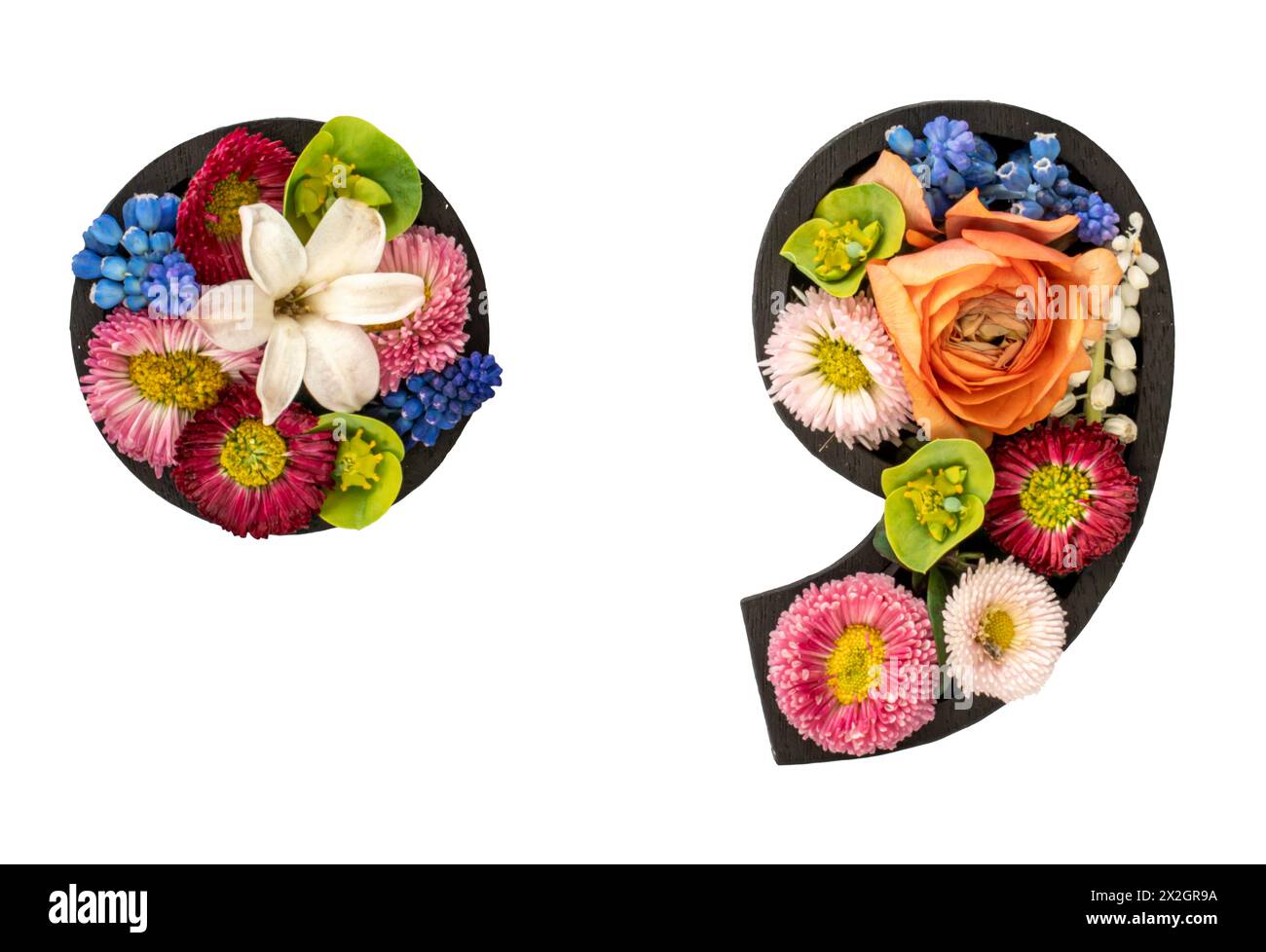 Point and comma marks made of real natural flowers on transparent ...