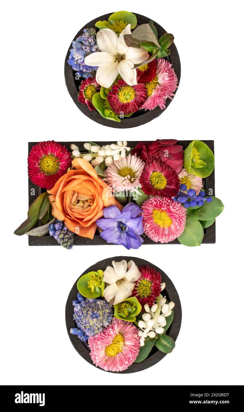 Division sign made of real natural flowers and leaves on transparent ...