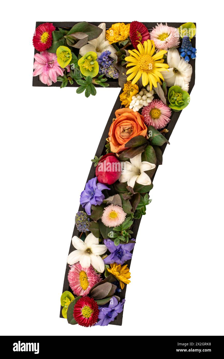 Number 7 made of real natural flowers and leaves on transparent ...