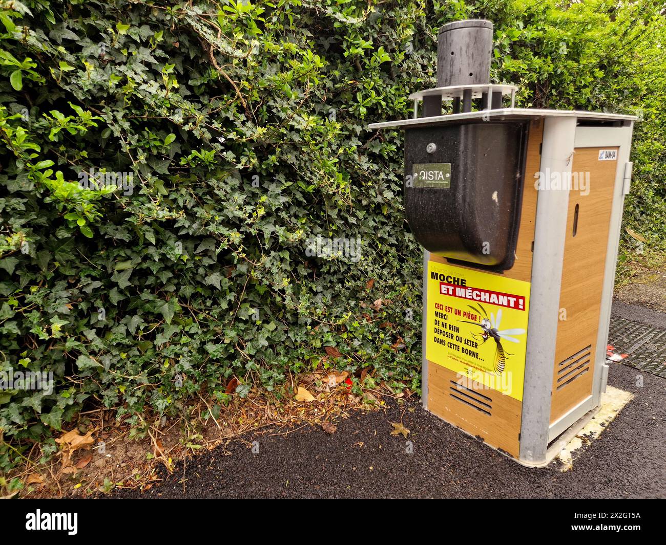 Insects of france hi-res stock photography and images - Alamy