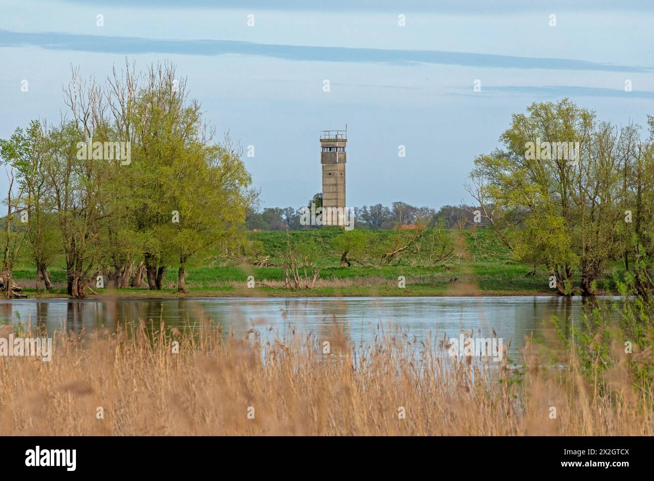 Former GDR watchtower, East Germany, trees, reed, water, River Elbe ...