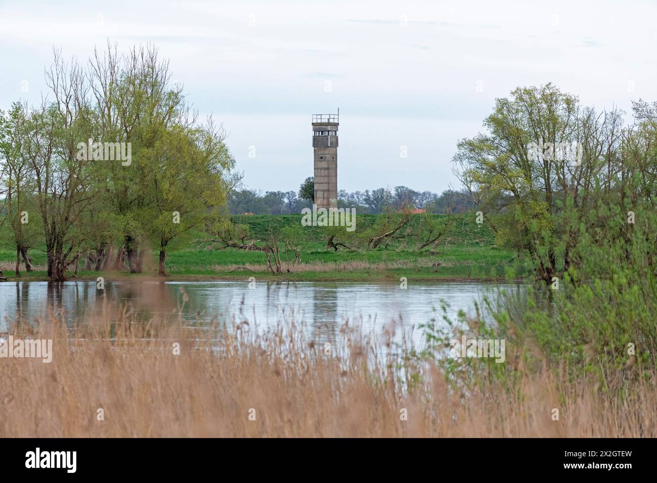 Former GDR watchtower, East Germany, trees, reed, water, River Elbe ...
