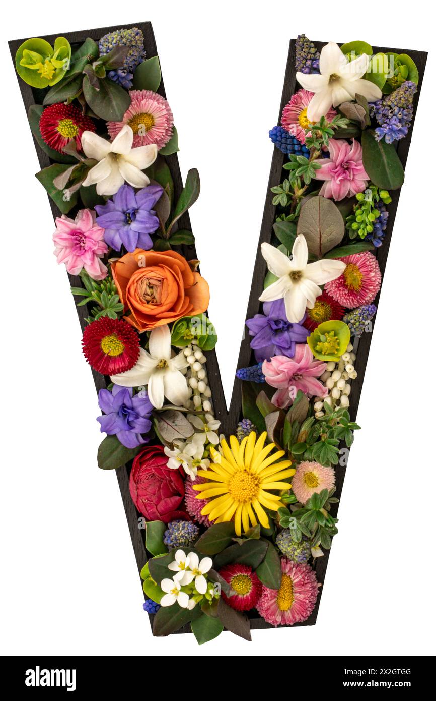 Letter V made of real natural flowers and leaves on transparent ...