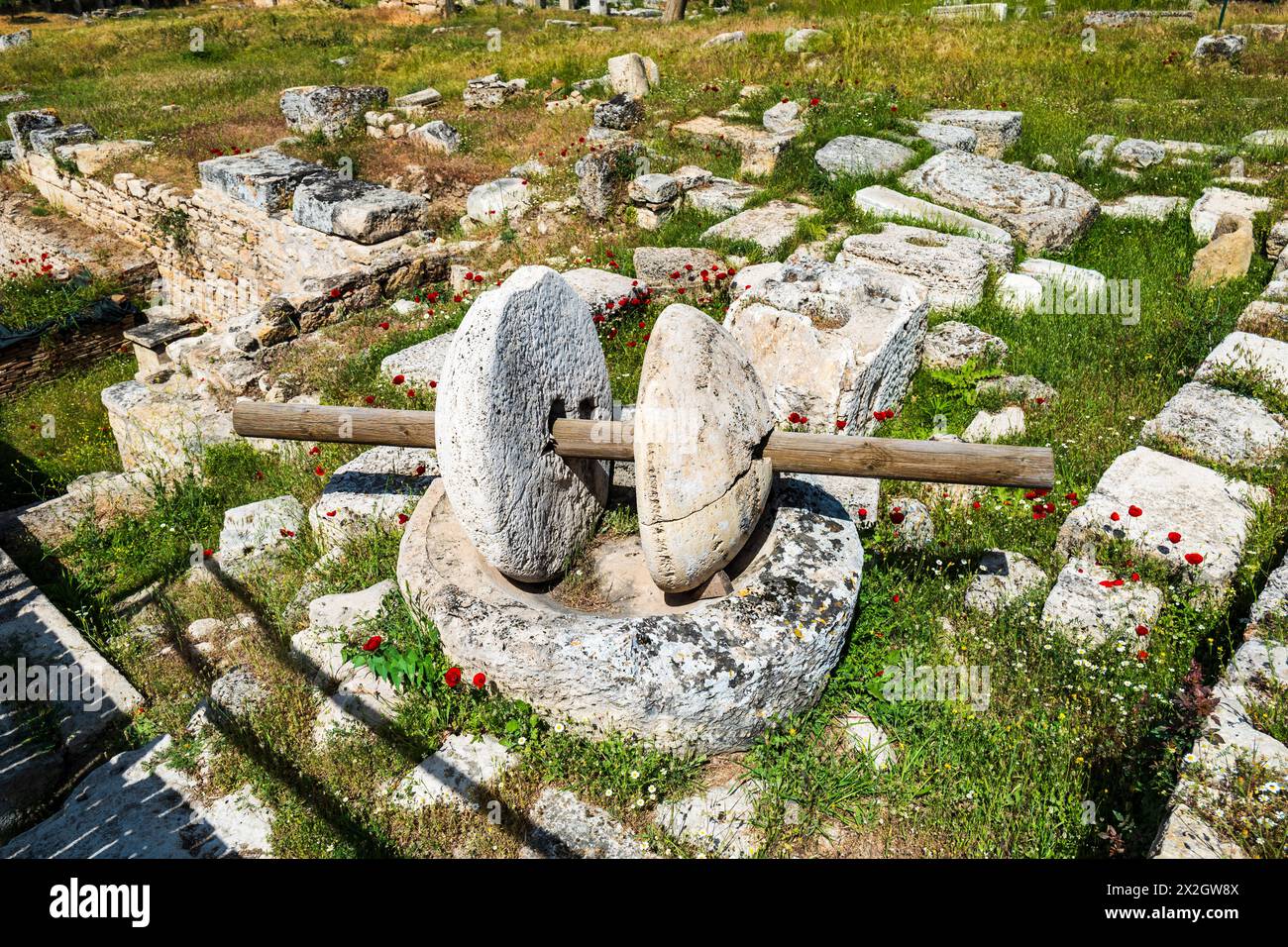 Ancient stone olive oil press in an ancient Greek archaeological site ...