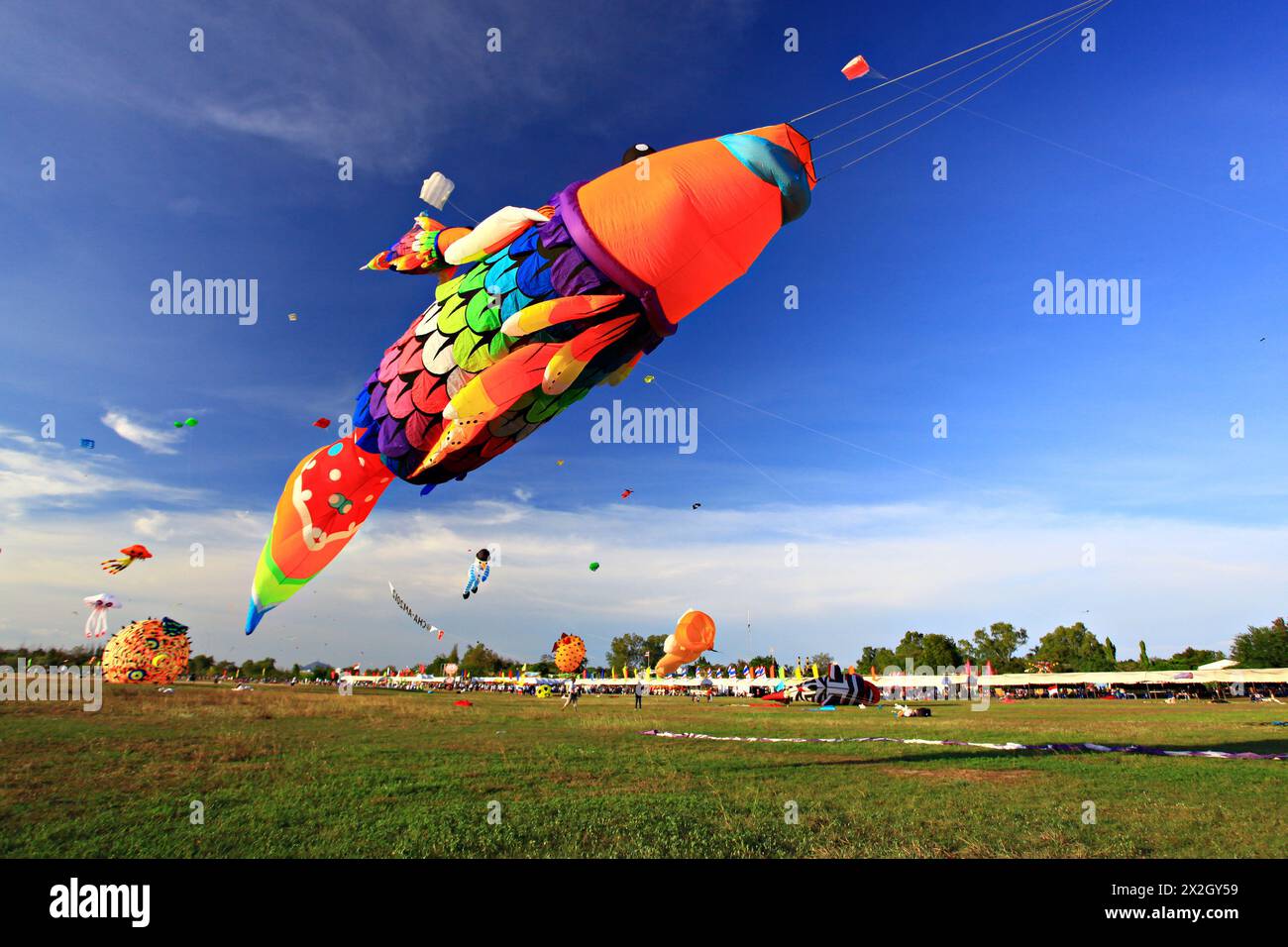 Thailand International Kite Festival on March 10, 2012 in Naresuan Camp ...