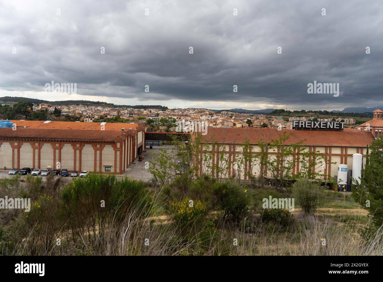 Bodegas de cava hi-res stock photography and images - Alamy