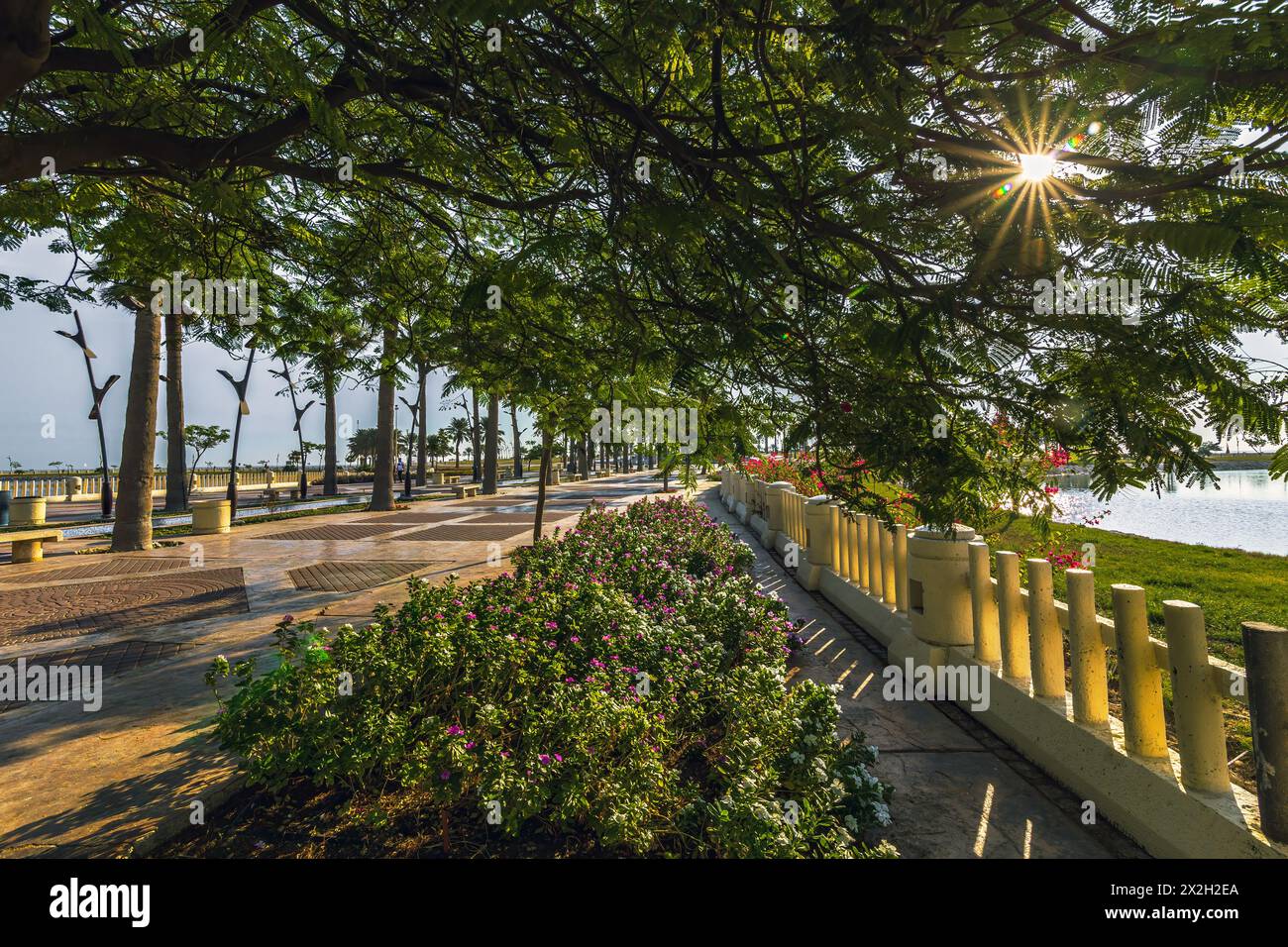 Beautiful flower gardens inside Al khobar park - City : Khobar, Saudi ...