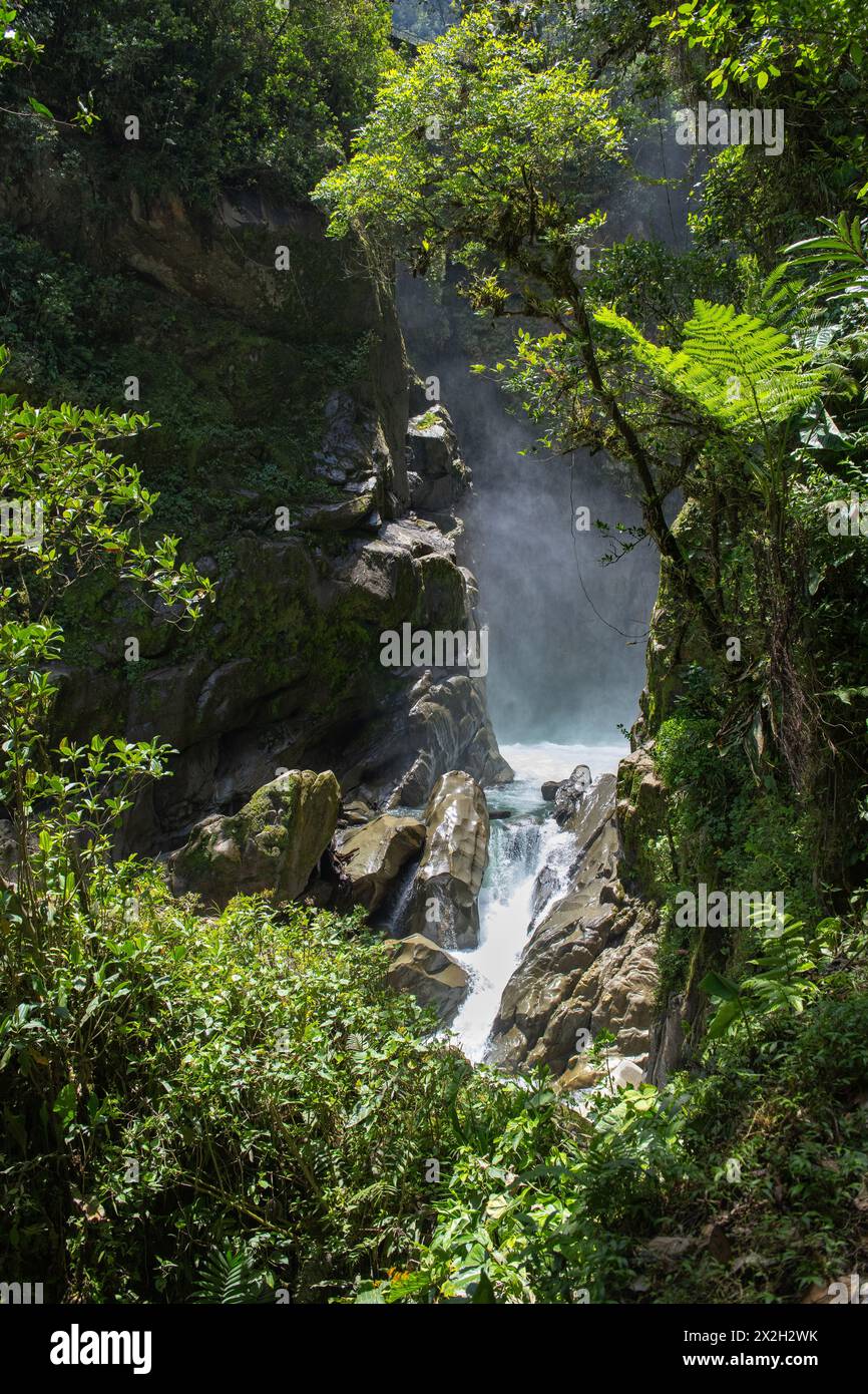 Devil's cauldron waterfall ecuador hi-res stock photography and images ...