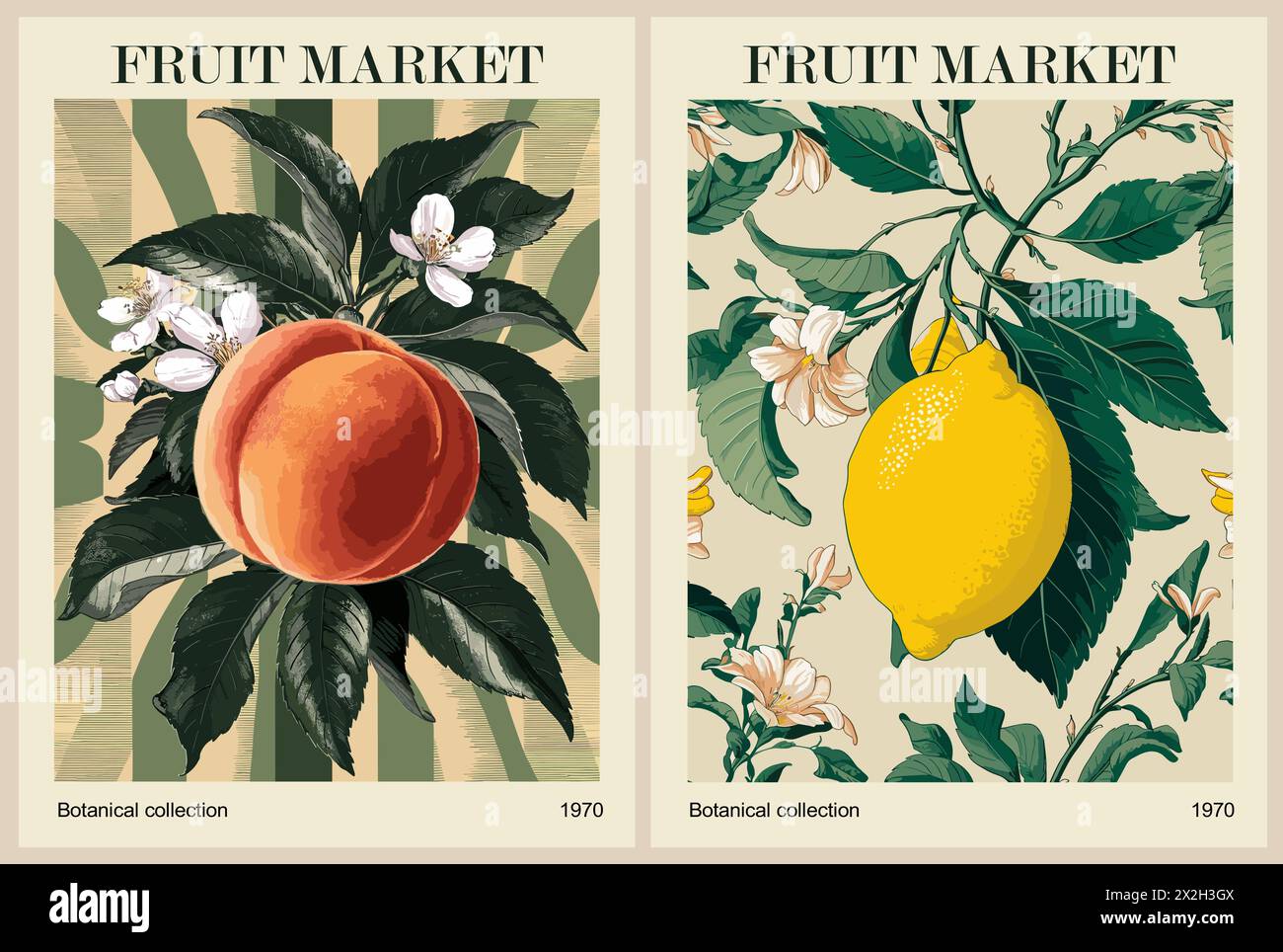Set of Abstract Fruit Market retro posters Stock Vector Image & Art - Alamy