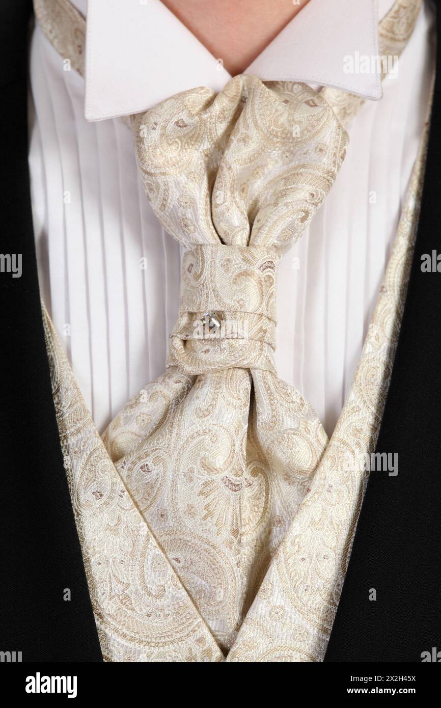 Beautiful light celebratory tie with crystal clad on neck; white shirt ...