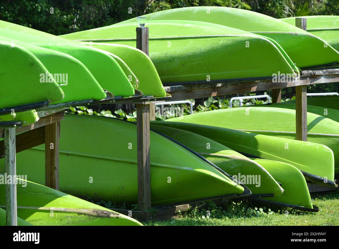 A close-up view of green canoes stored on wooden racks, with lush green ...