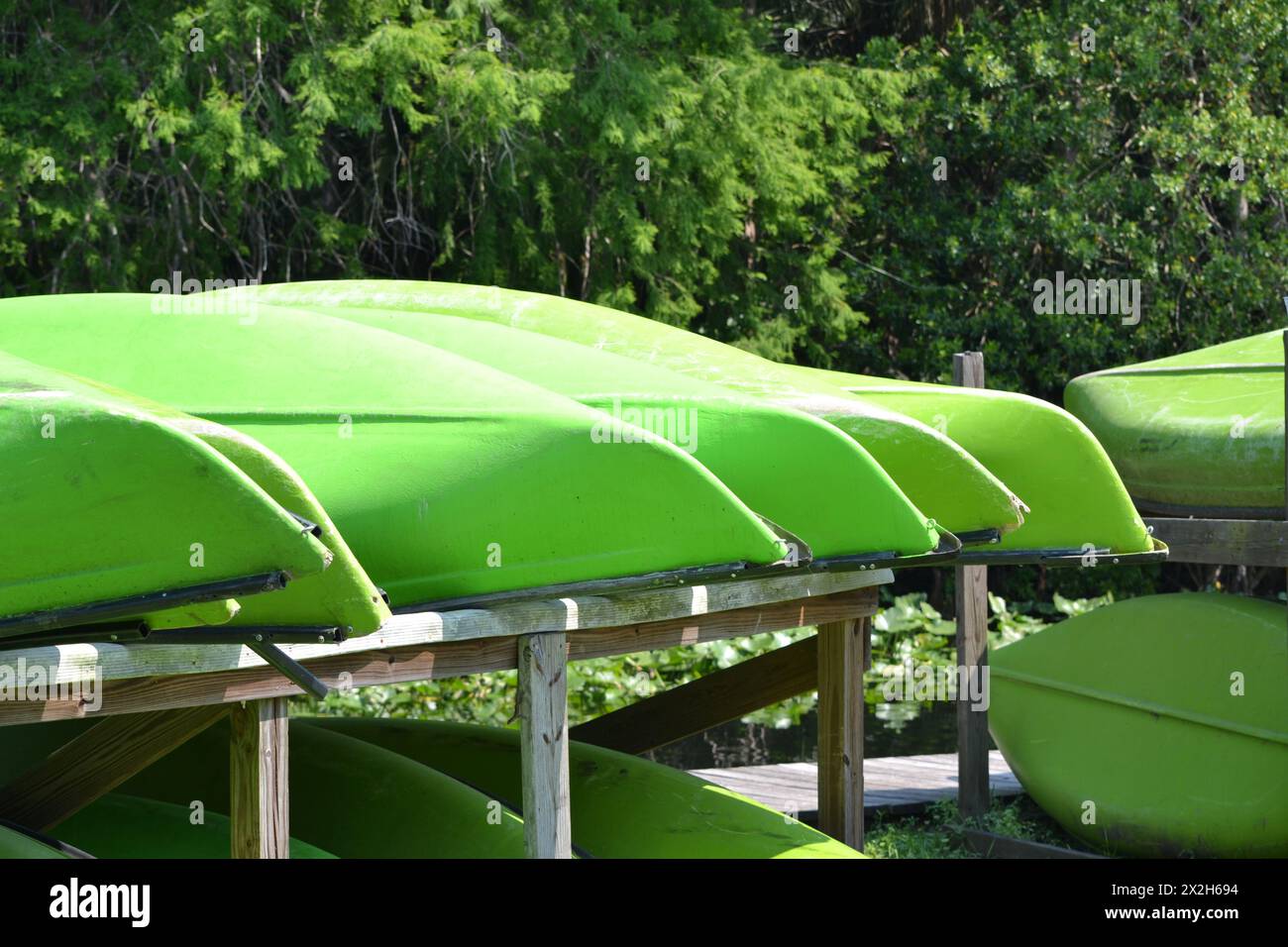 A close-up view of green canoes stacked on a wooden rack, with trees ...