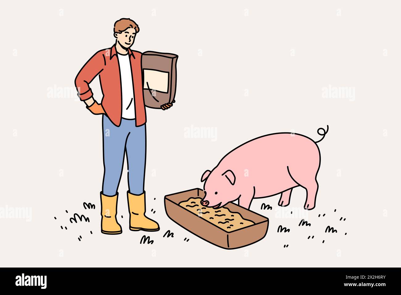 Man farmer engaged in livestock farming and pours feed from grains and ...