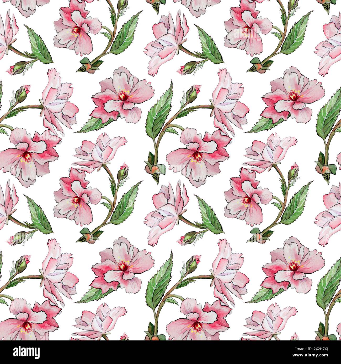 Seamles pattern with Spring japanese sakura with pink flowers on white ...