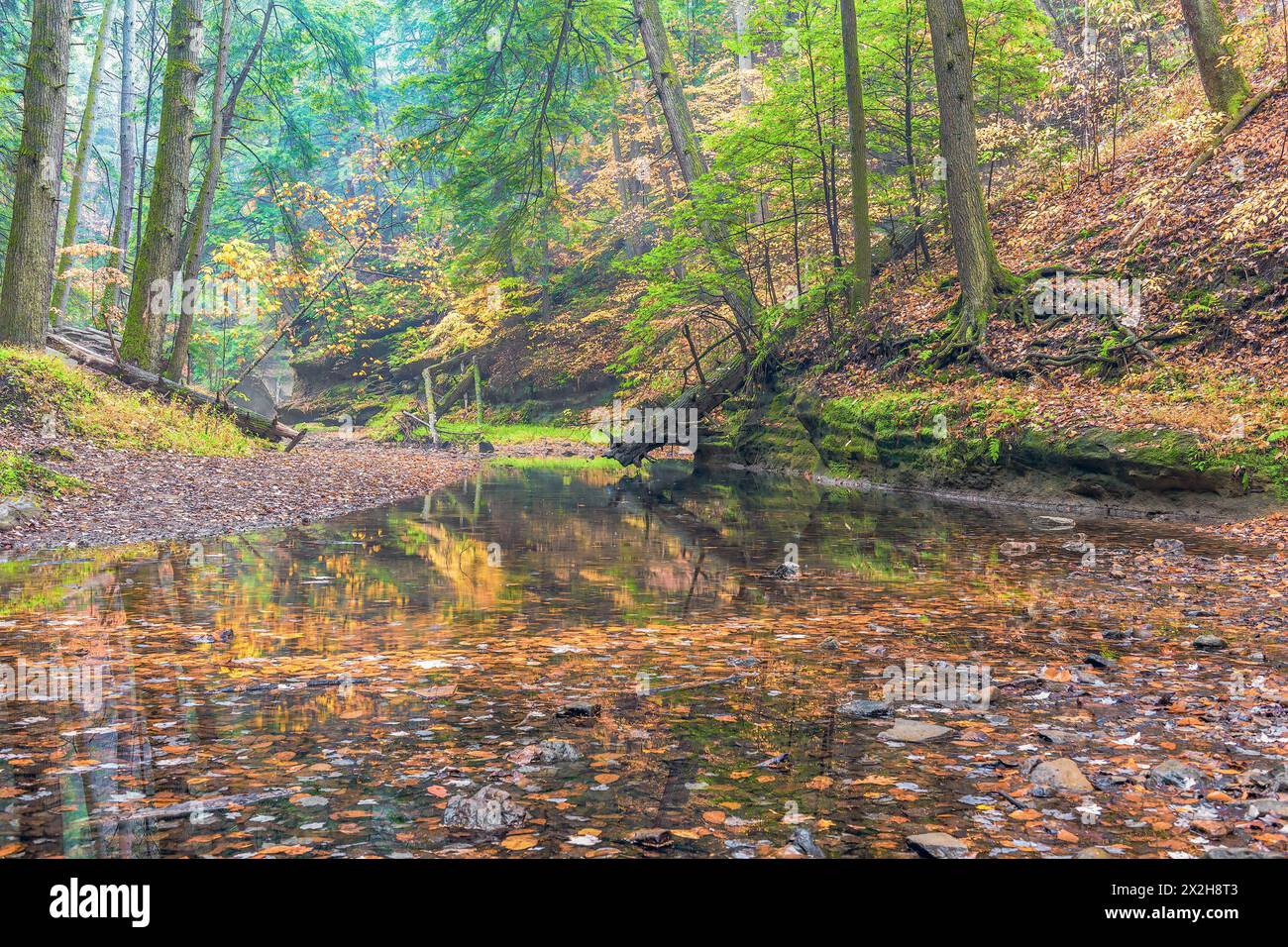 View of the picturesque valley of Queer Creek just downstream from ...