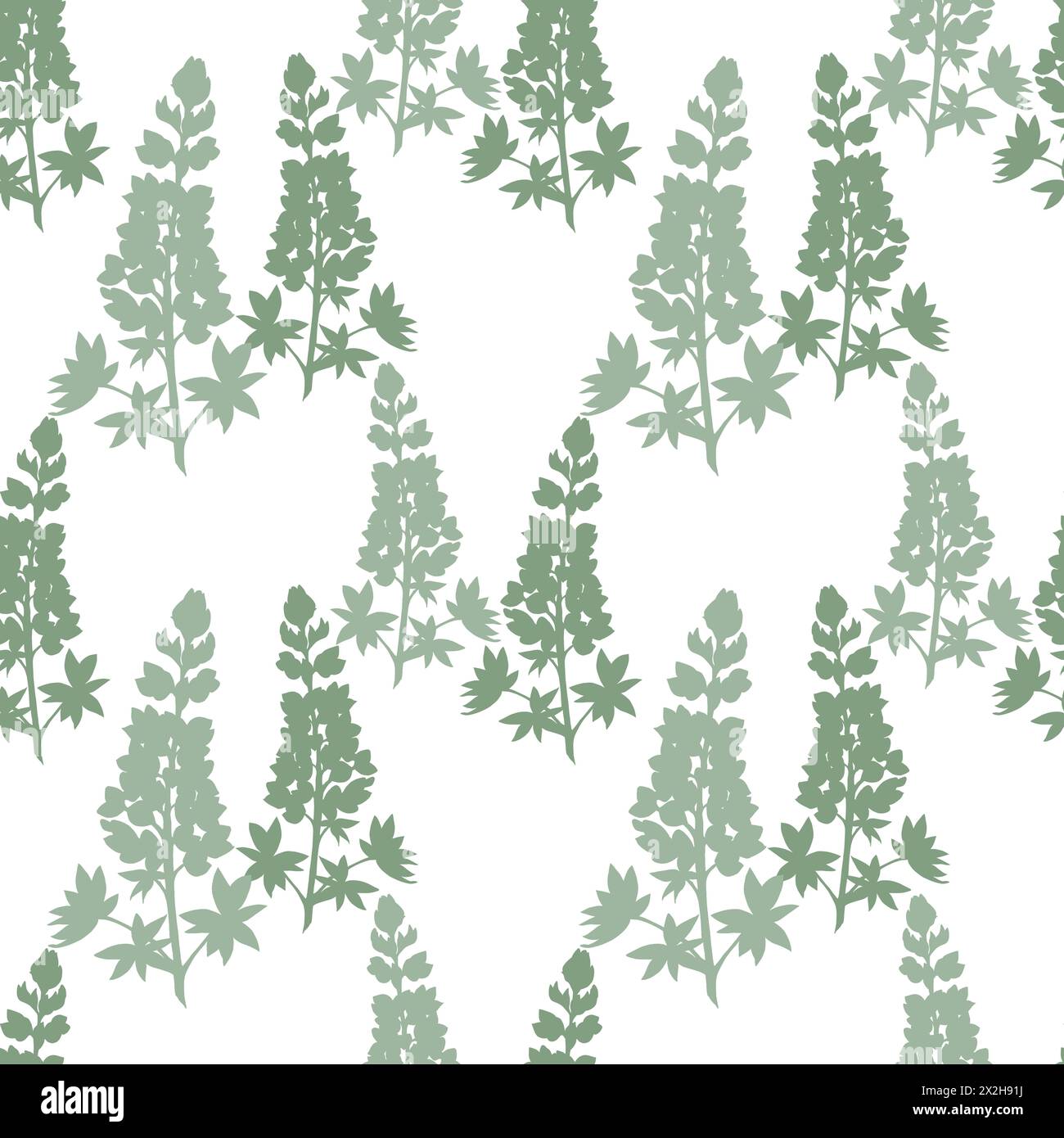 Lupins illustration hi-res stock photography and images - Alamy
