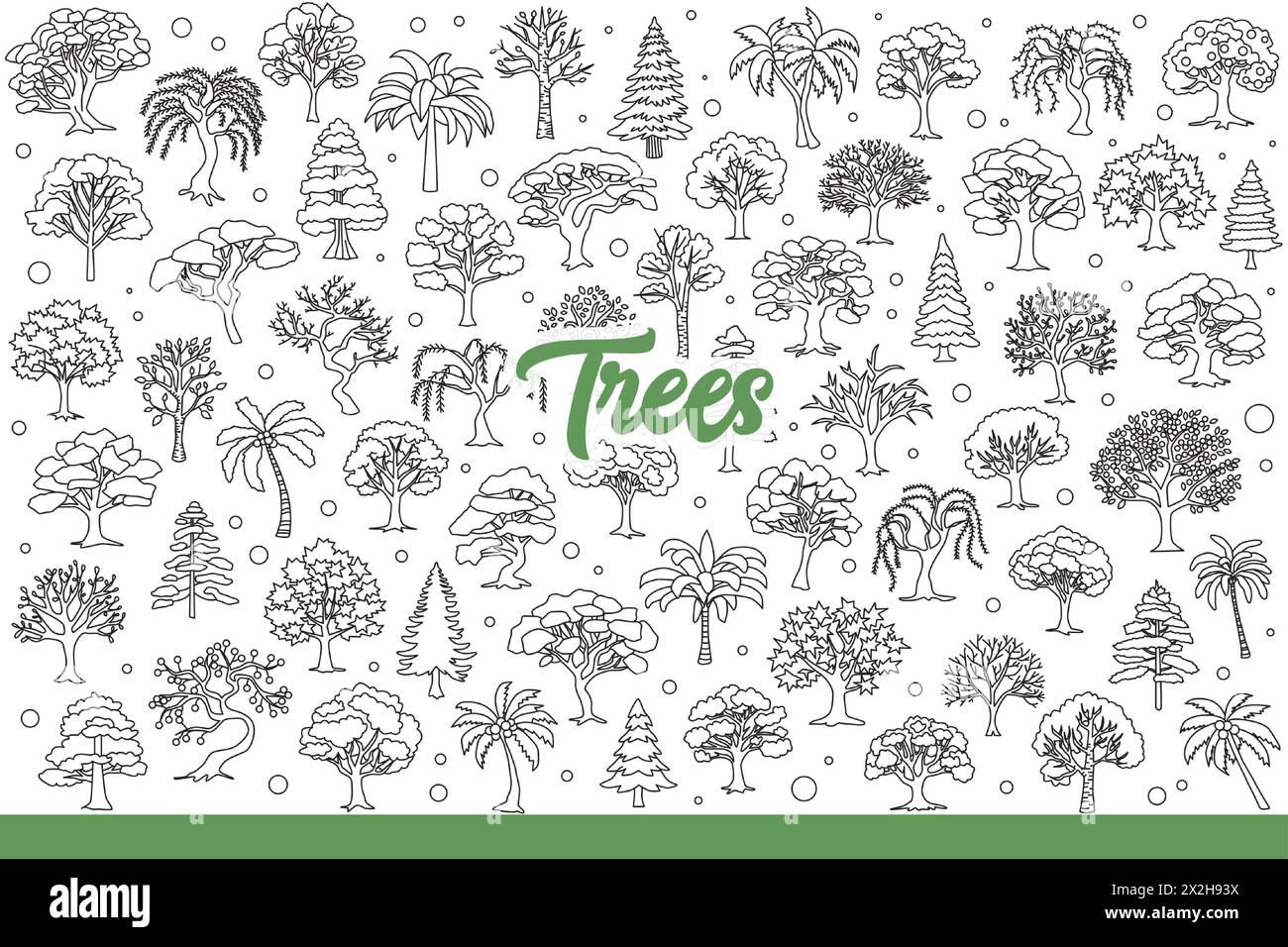 Forest trees growing in different regions, for concept of biodiversity ...