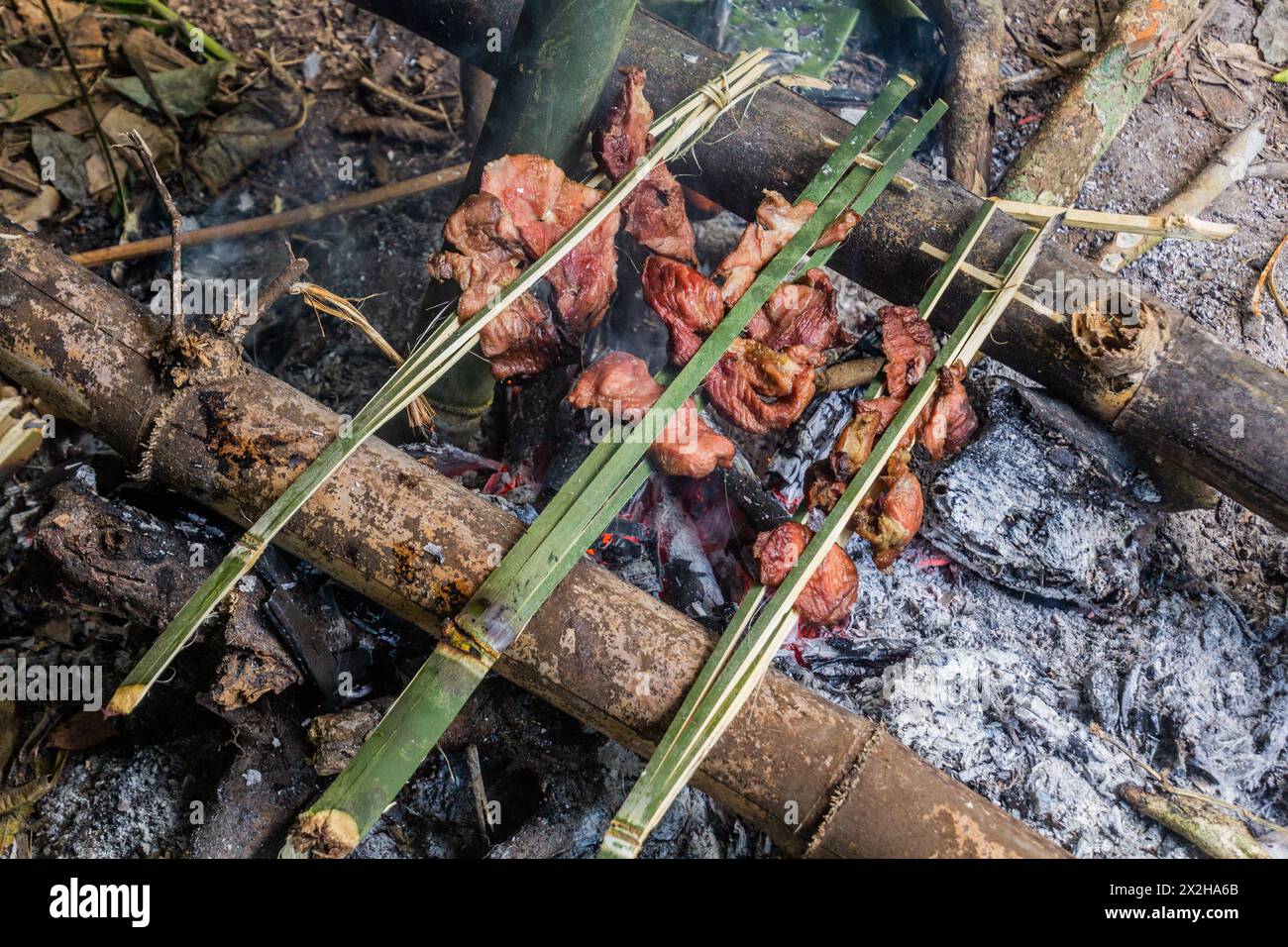 Smoked meat being prepared in the forest of Nam Ha National Protected ...