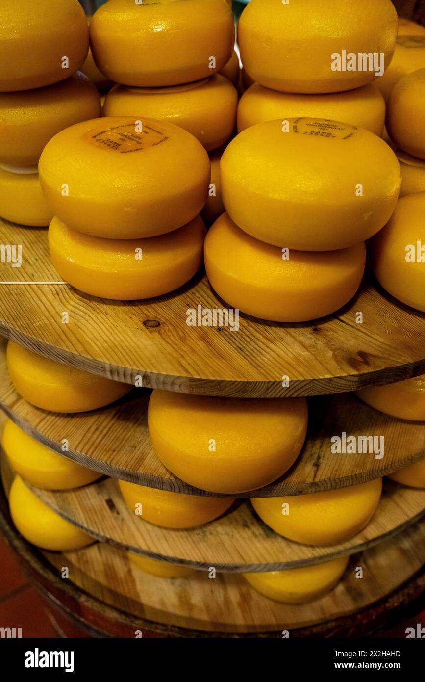 Zaanse Schans, traditional cheese factory, Zaanstad Municipality ...