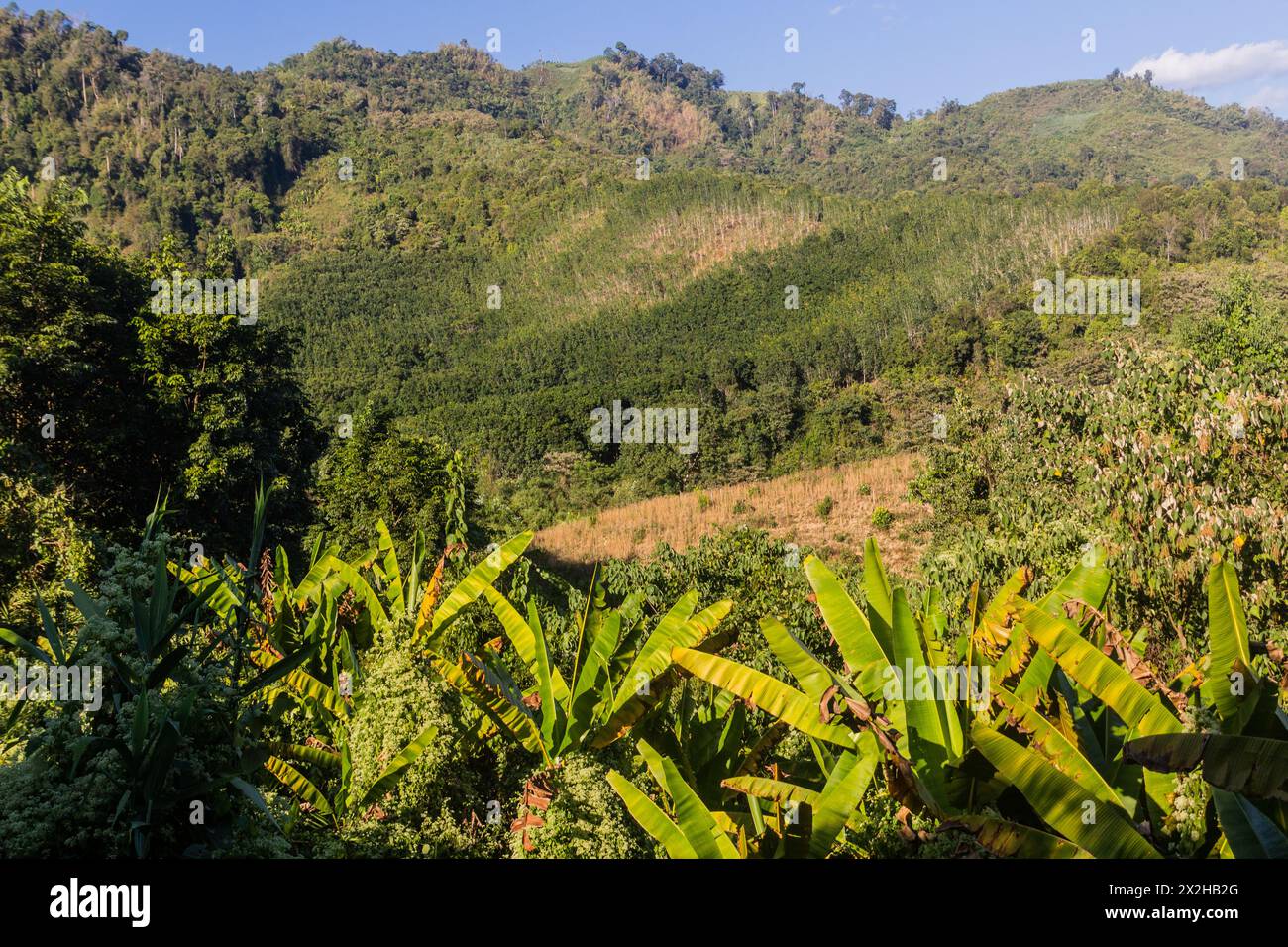 Nam ha national protected area hi-res stock photography and images - Alamy