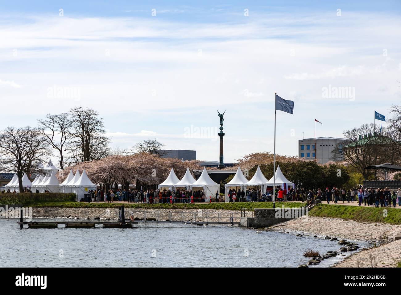 Cherry Blossom in Langelinie park. Crowd of people in the park at the ...