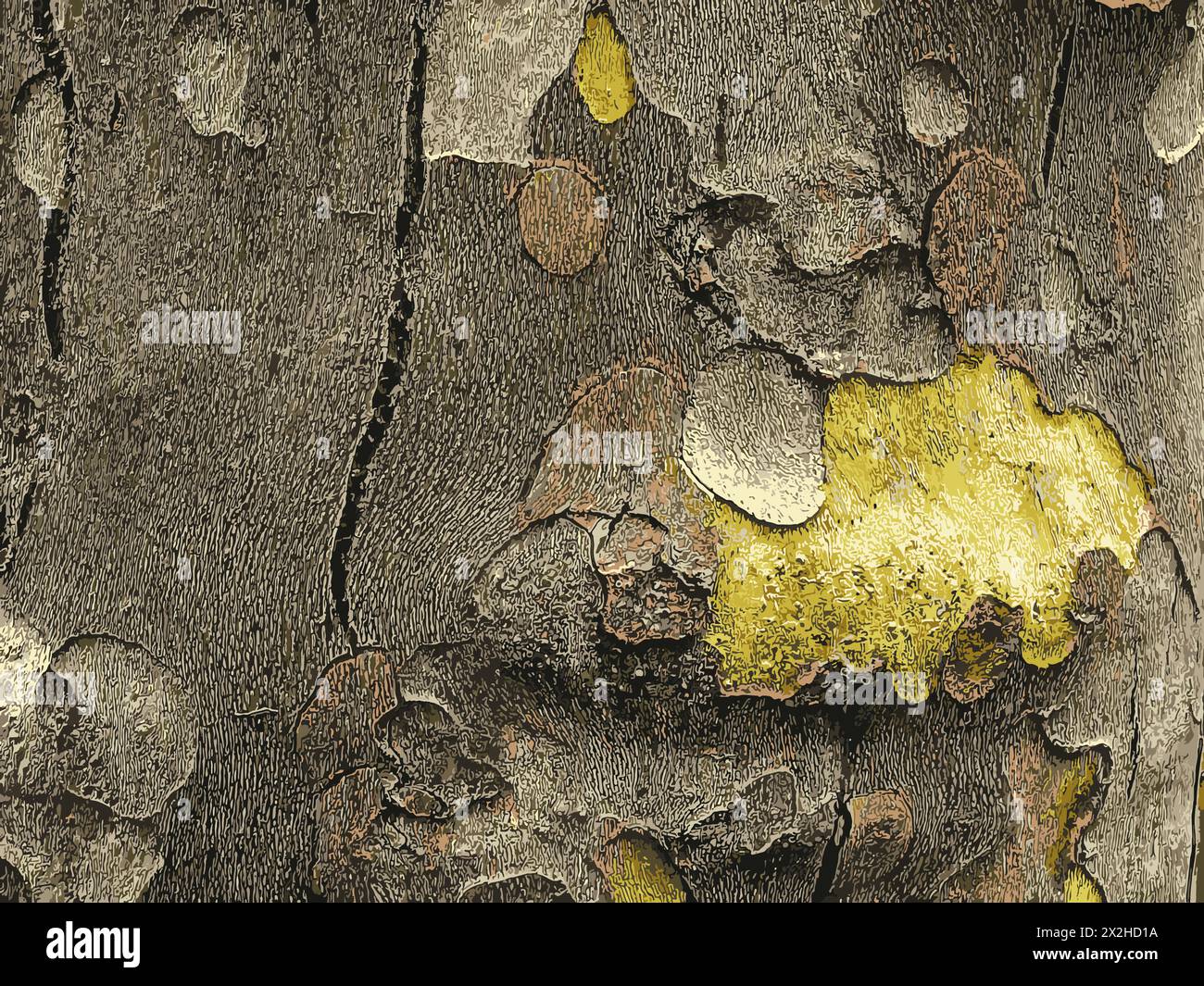Vector illustration of the texture of the bark of an oriental plane ...