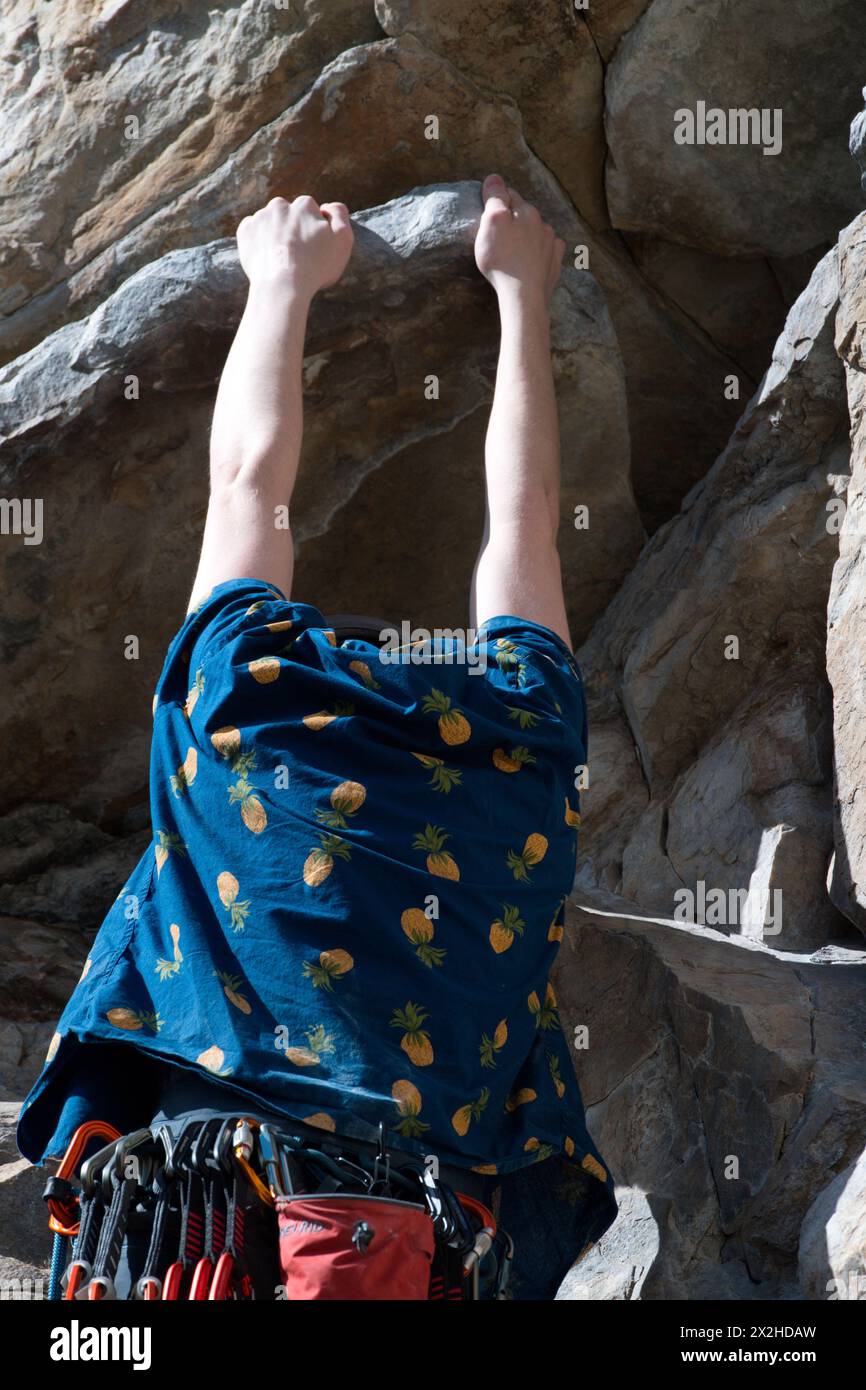 Back of male climber hanging on rock before raising up Stock Photo - Alamy