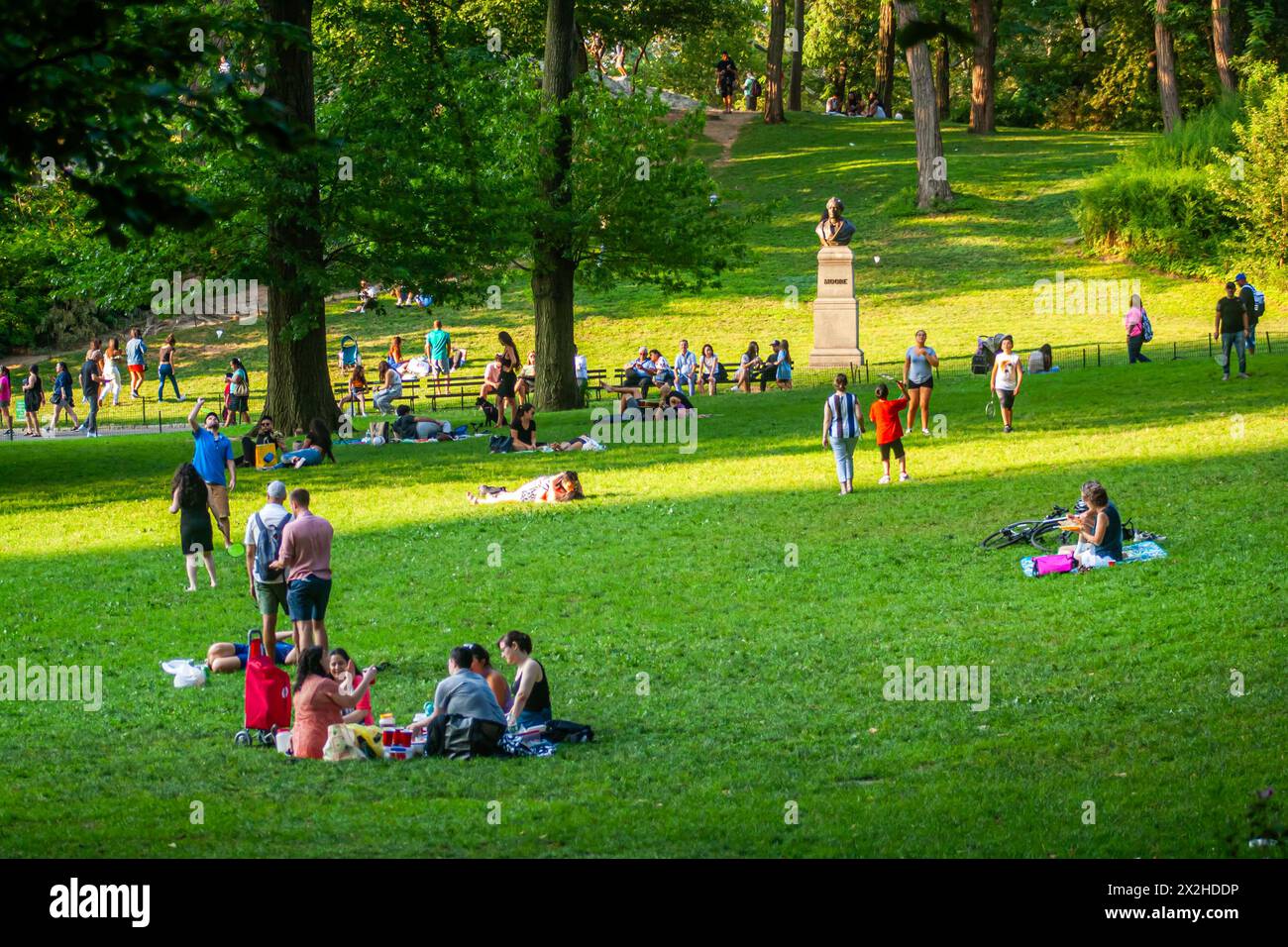 Afternoon in Central Park with groups of people enjoying picnics ...