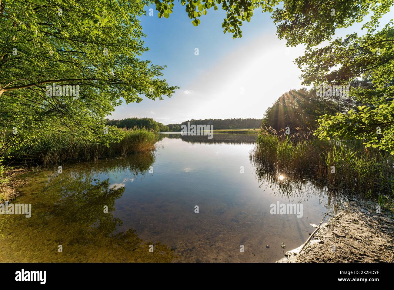 A picturesque natural landscape of a lake nestled among trees with the ...