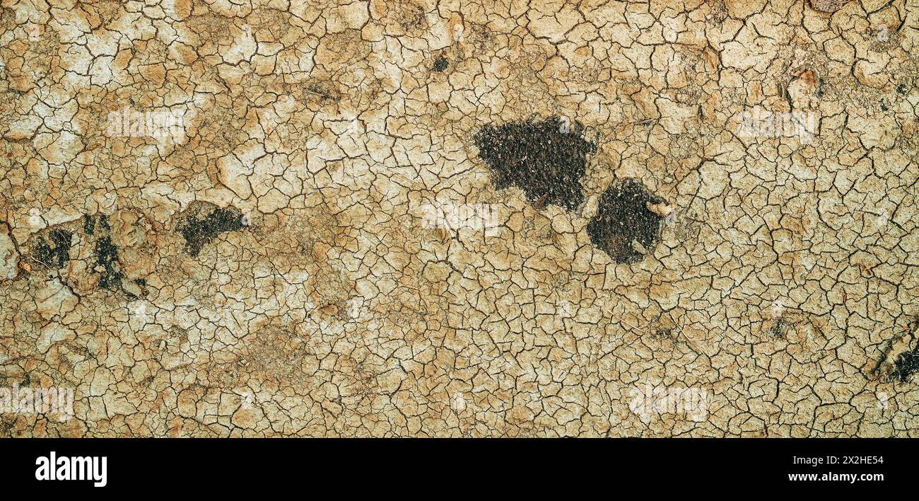 Footprint in dry cracked soil ground from above Stock Photo - Alamy