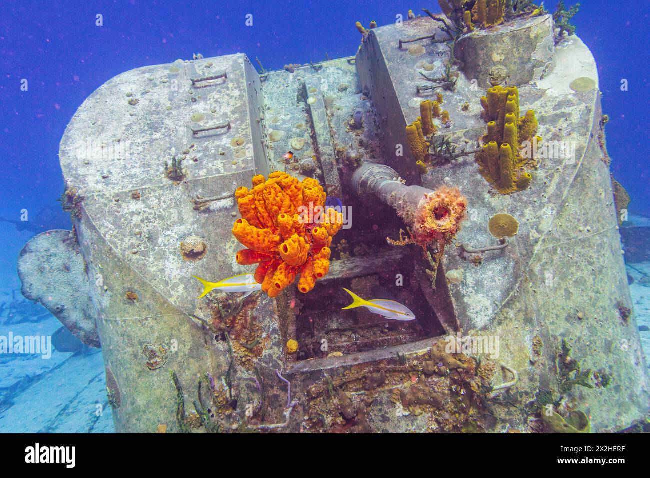 Tube sponges stuck in the end of the barrel of a gun turret on the ...
