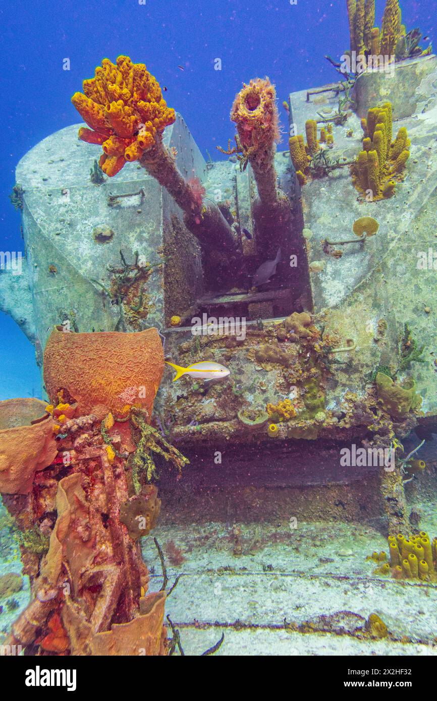 Tube sponges stuck in the end of the barrel of a gun turret on the ...