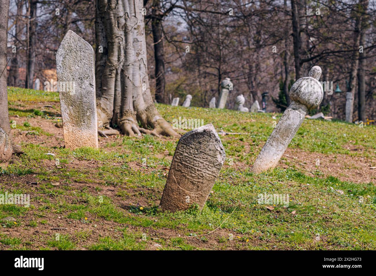 15 March 2024, Sarajevo, Bosnia and Herzegovina: muslim tombstones in ...