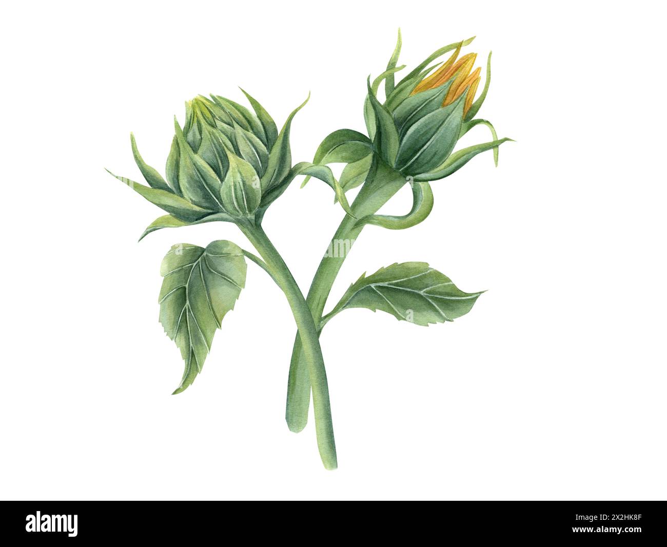 Wedding on the farm Cut Out Stock Images & Pictures - Alamy