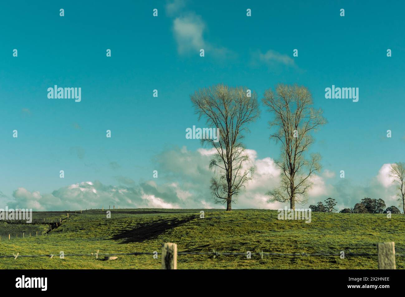 Retro effect new zealand hi-res stock photography and images - Alamy
