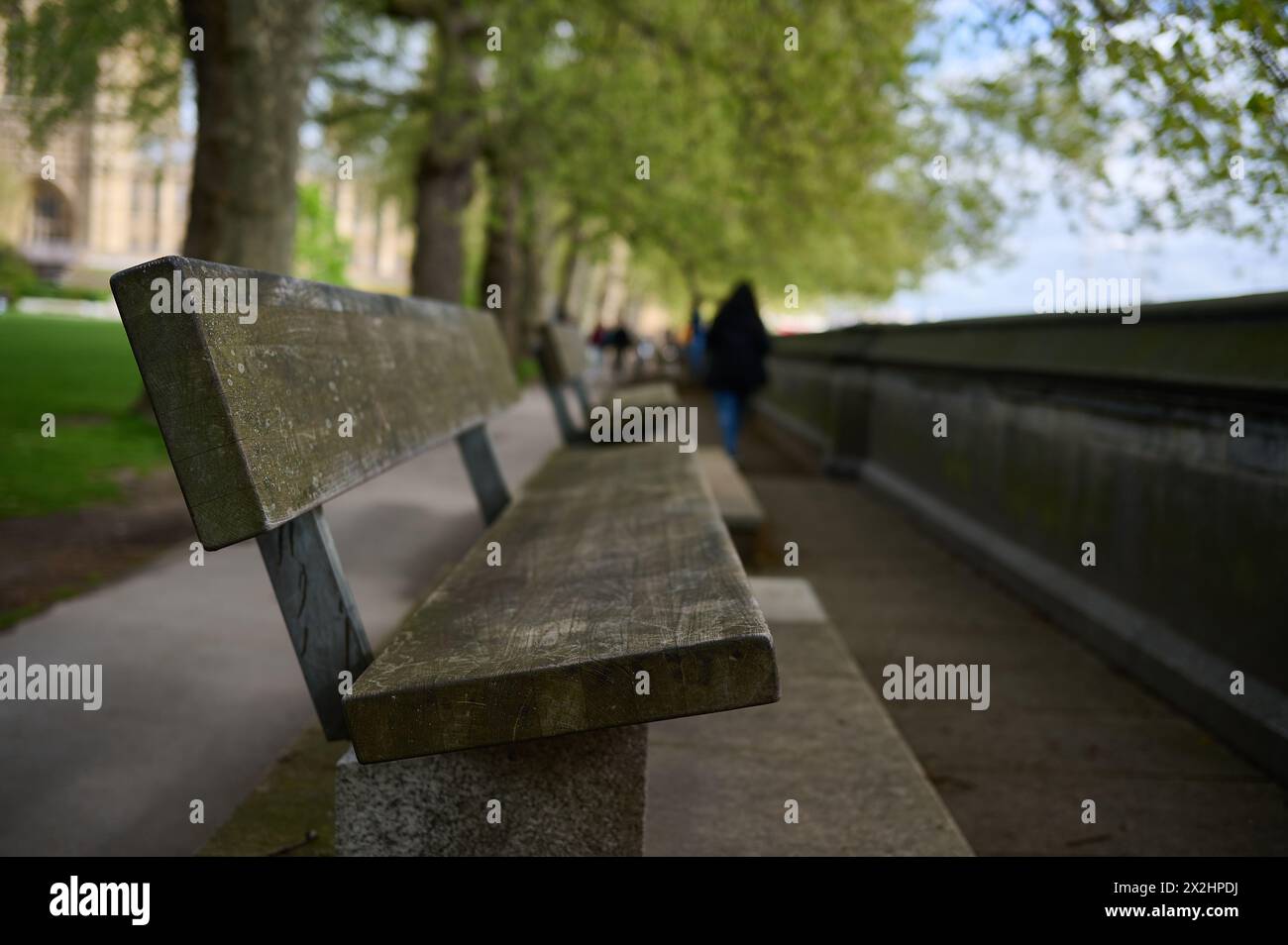 Empty bench trees park bench hi-res stock photography and images - Alamy