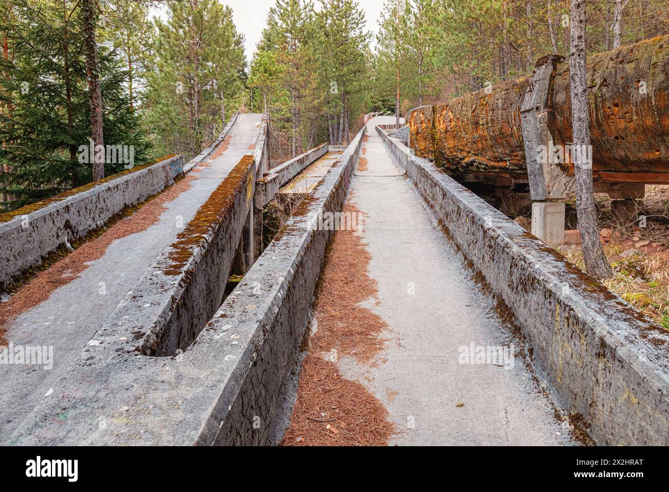 Nature begins to reclaim the old bobsled track on Mount Trebevic in ...