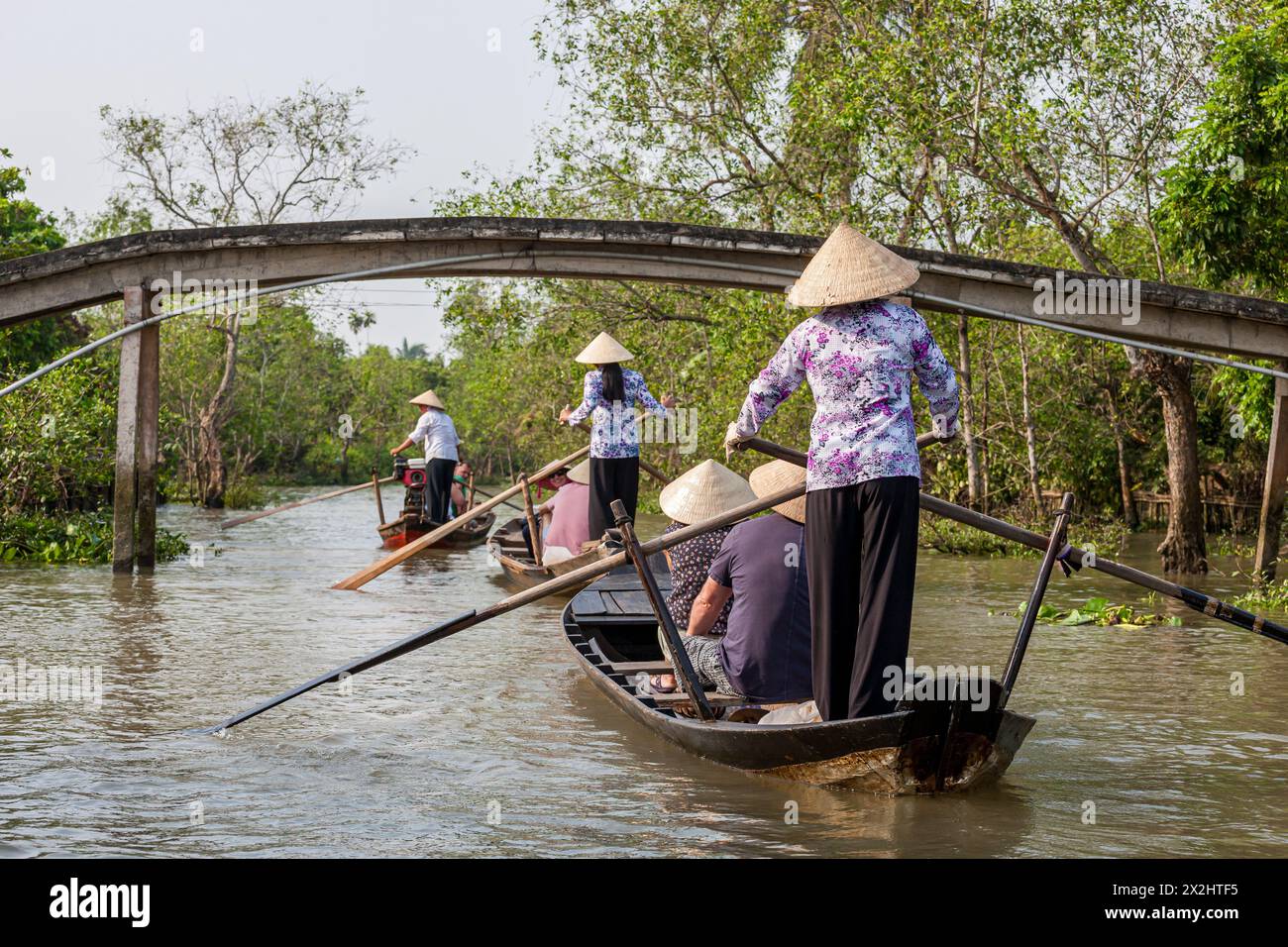 Viet Nam, Mekong River Delta, Women rowing people around Stock Photo ...