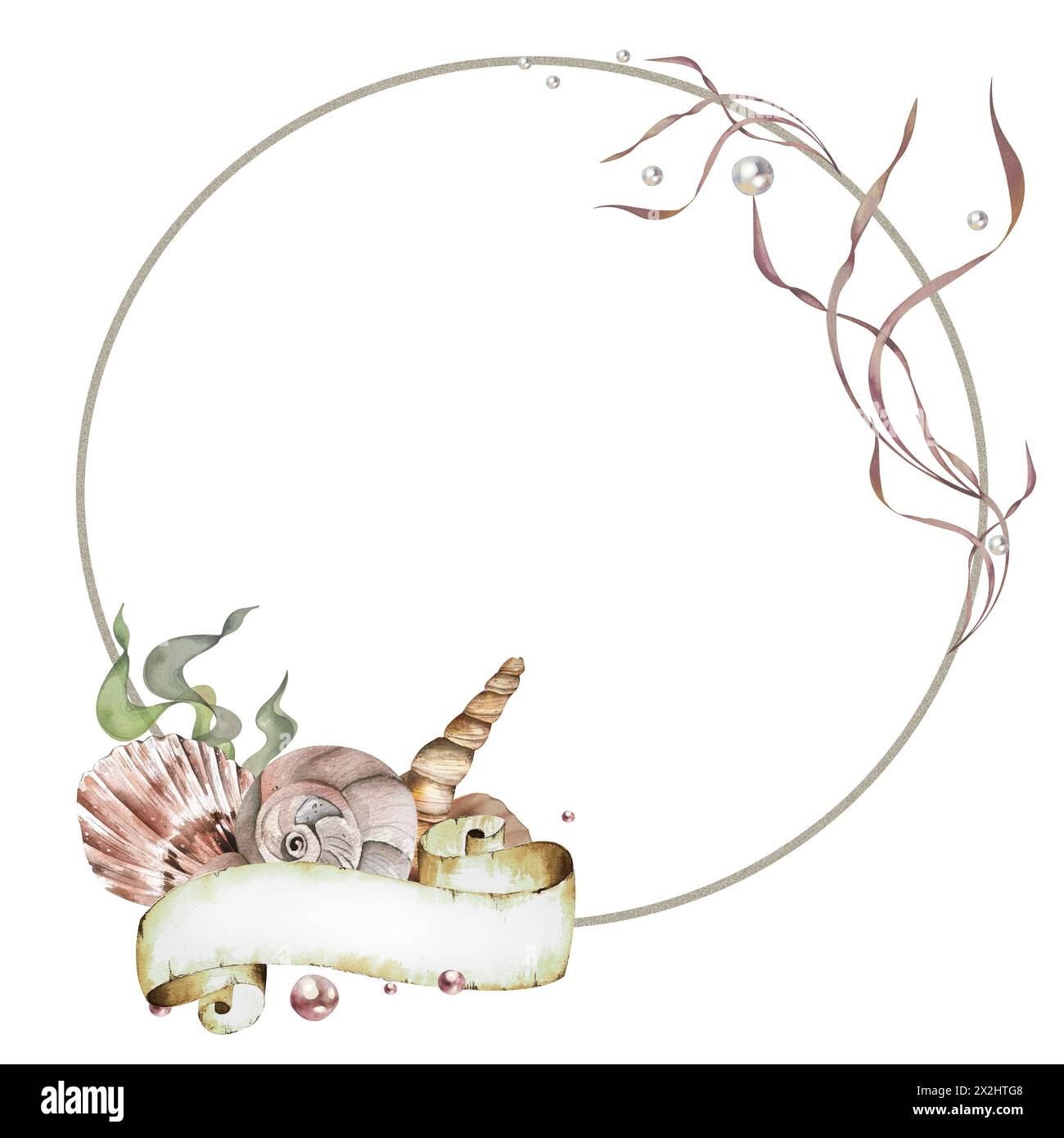 Composition Seashell, Algae, Seaweed, Pearls, Corals. round Frame ...