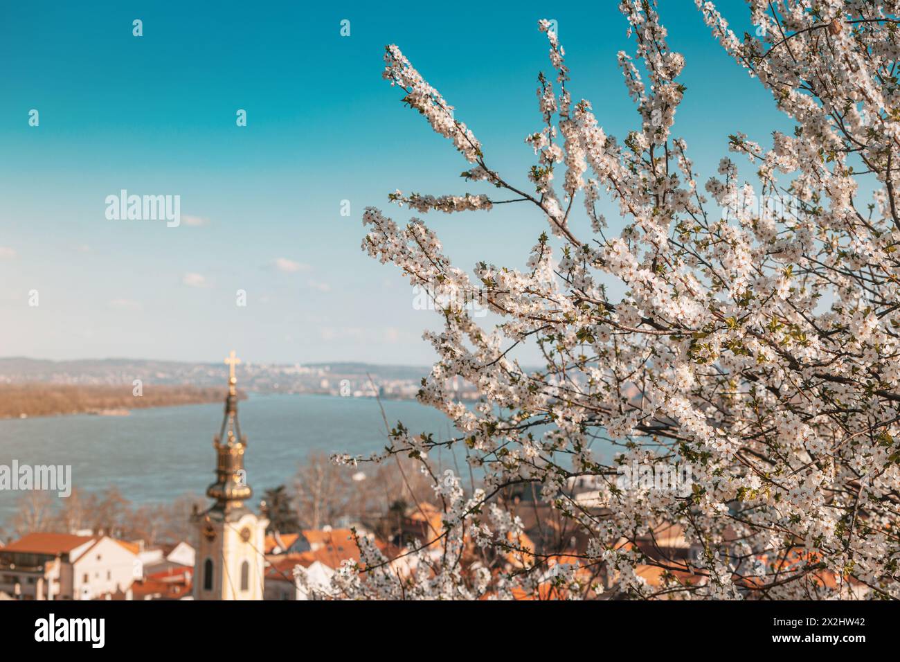 a scenic panoramic observation of Belgrade's cityscape, with its ...