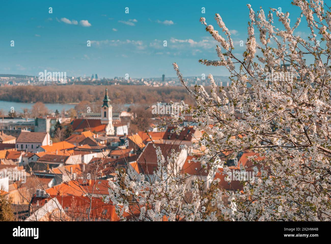 a scenic panoramic observation of Belgrade's cityscape, with its ...