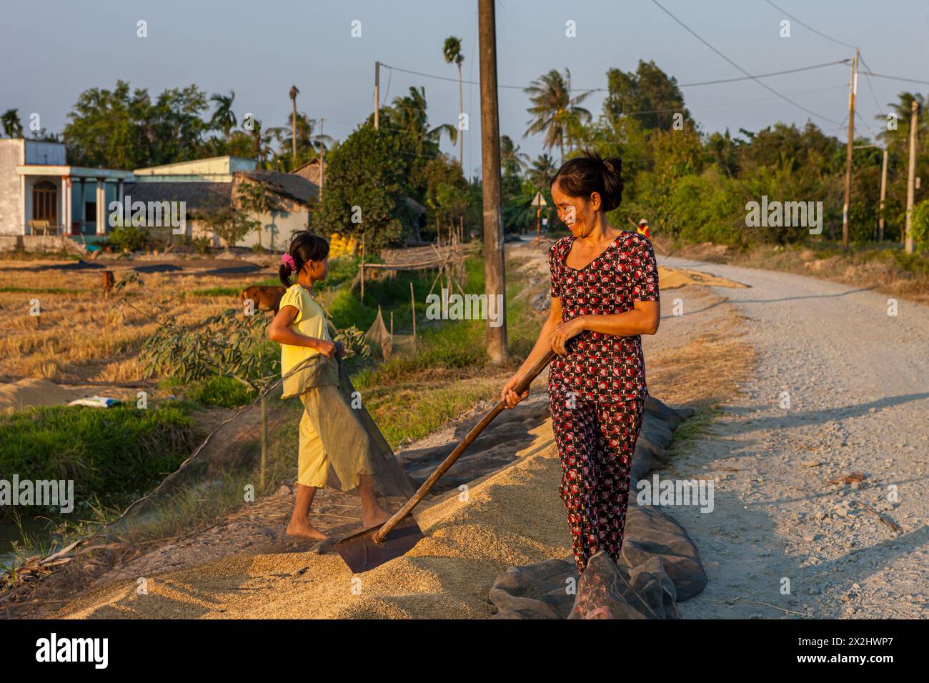 Viet Nam, Mekong River Delta, Women working in the rice fields Stock ...