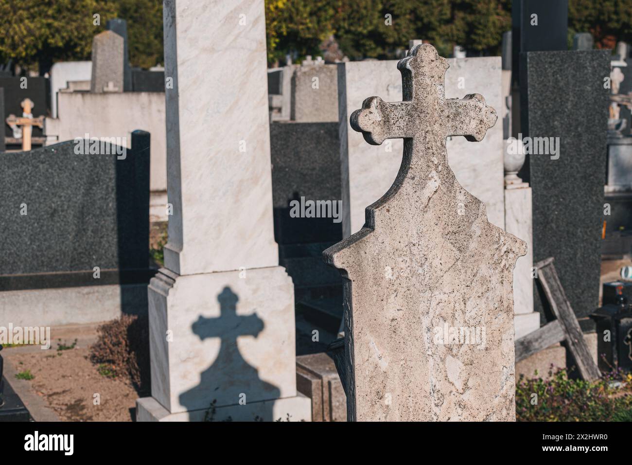 Amidst the quiet serenity of the cemetery, rows of tombstones and ...