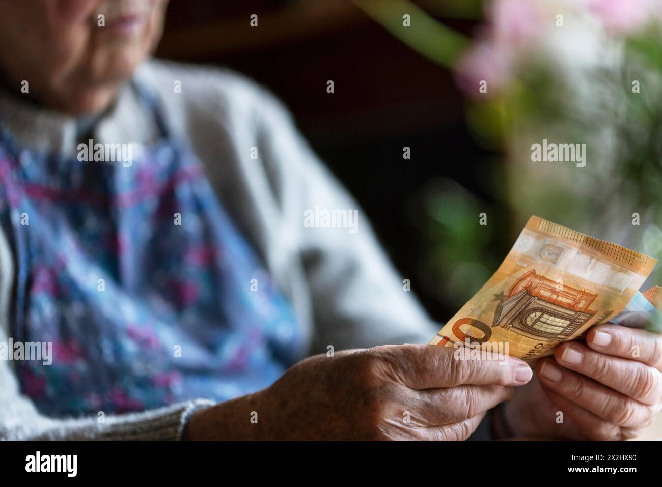 Senior citizen with wrinkled hands counts her money at home in her flat ...