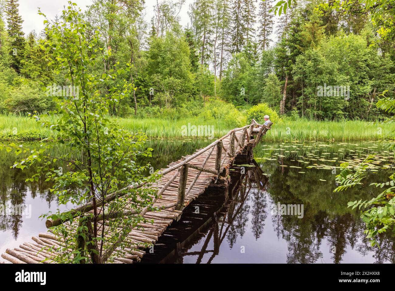 Old wooden footbridge over a river built of tree sticks with a man ...