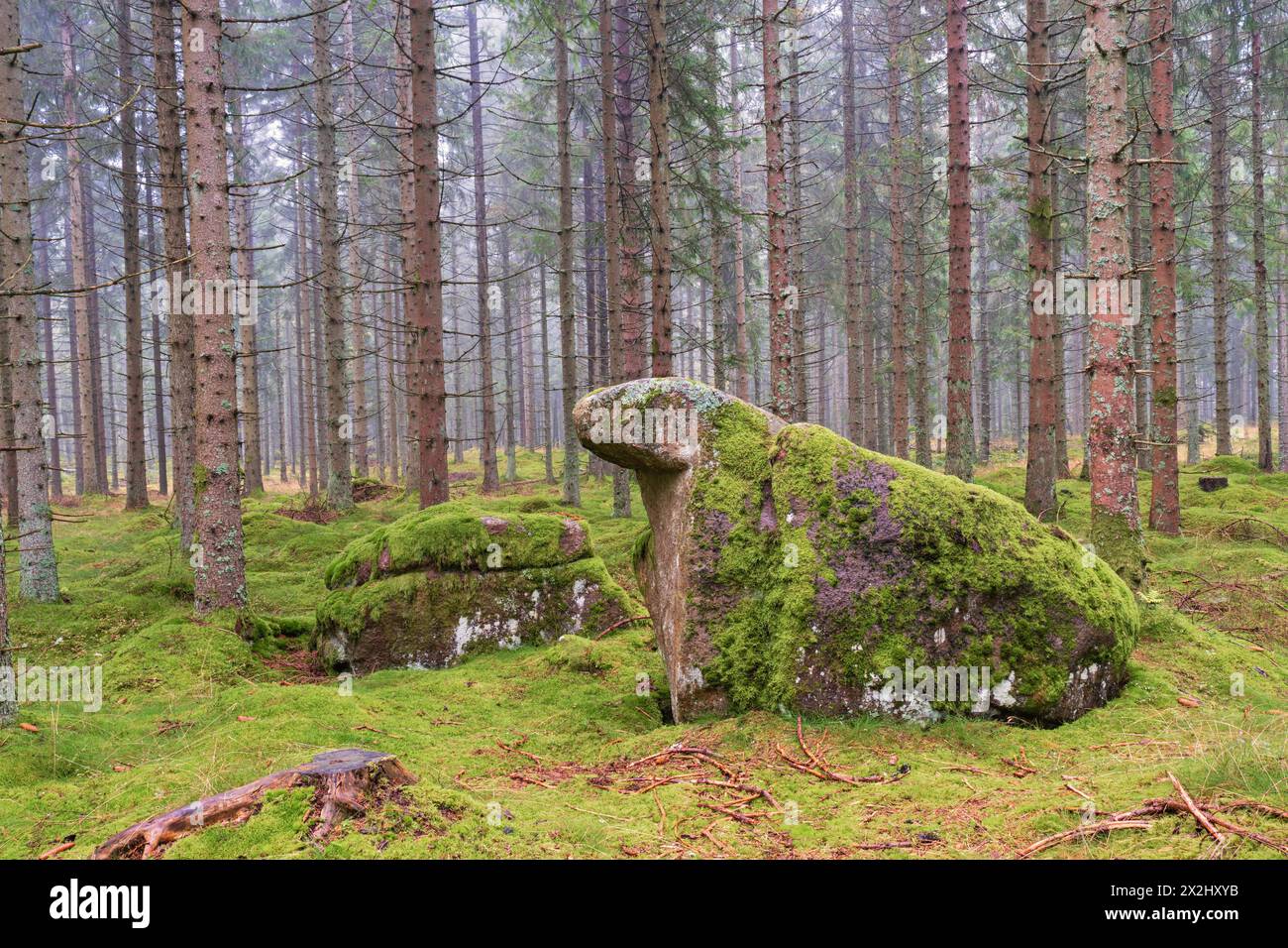 Ground formation hi-res stock photography and images - Alamy