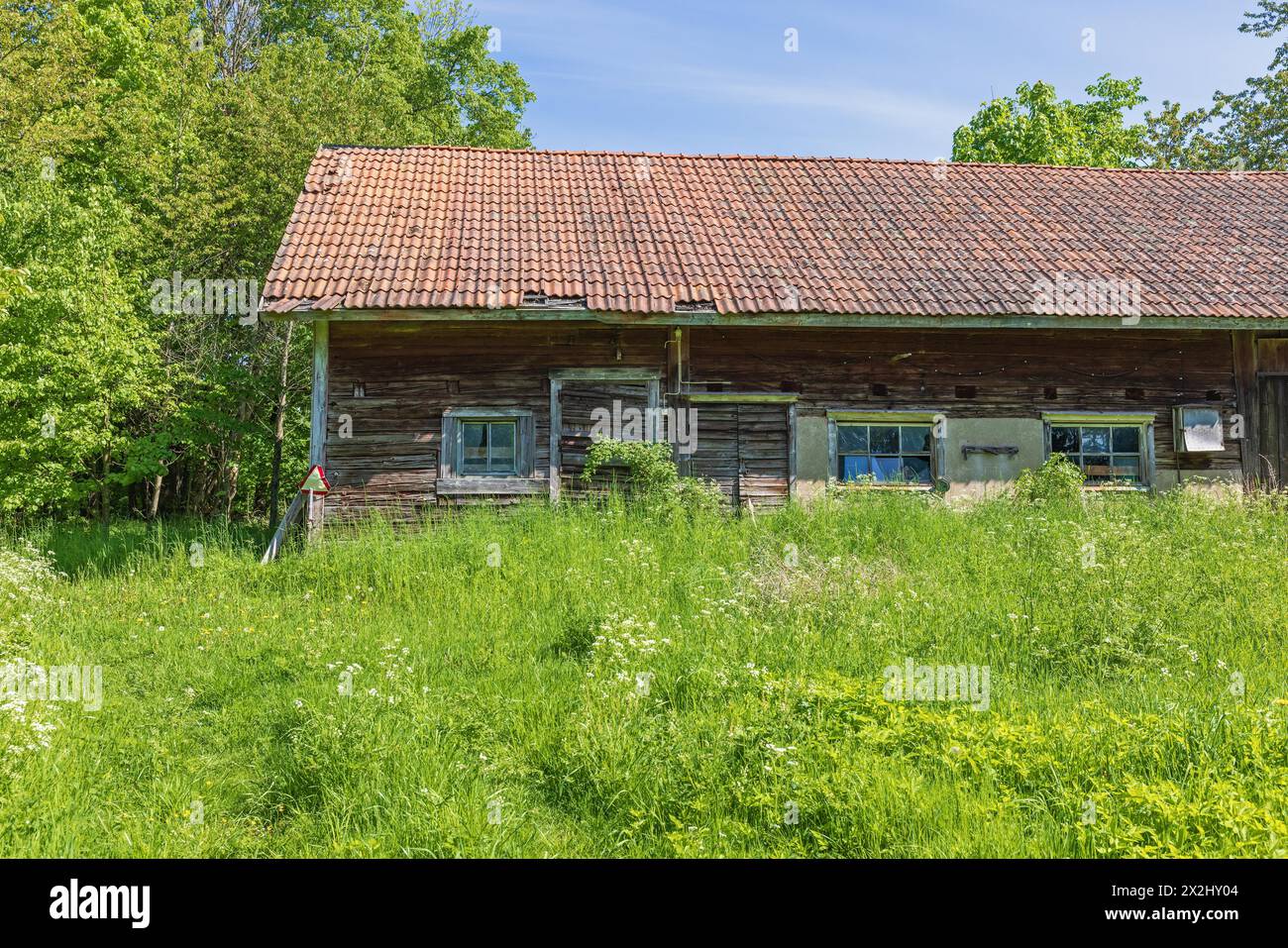 Old abandoned red barn in the countryside with a overgrown yard in the ...