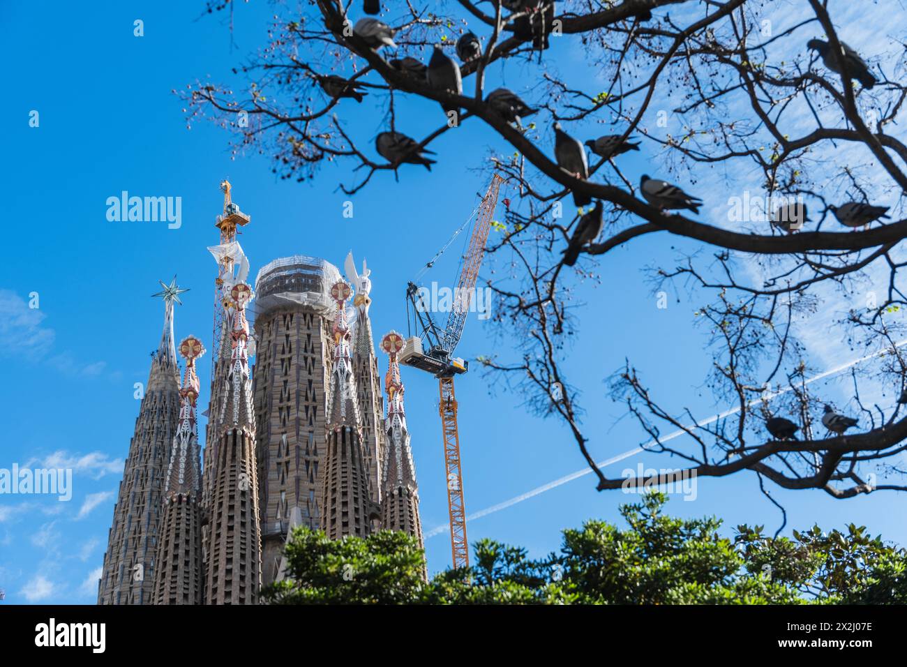 Towers of the Sagrada Familia basilica under construction, Roman ...