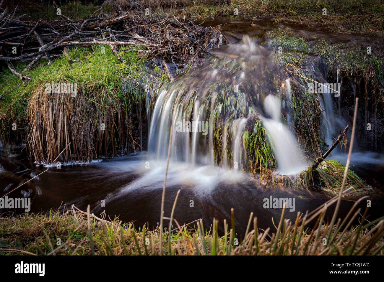 small waterfall in a moor, swamp, water, stream Stock Photo - Alamy